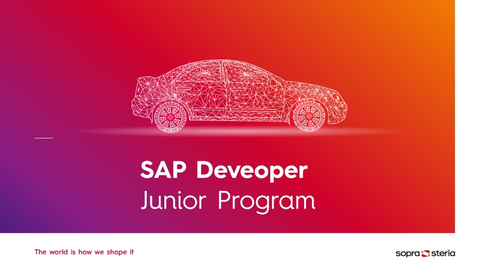 Junior SAP Developer Program
